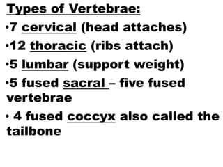 Biology Lesson7.1 | PPT