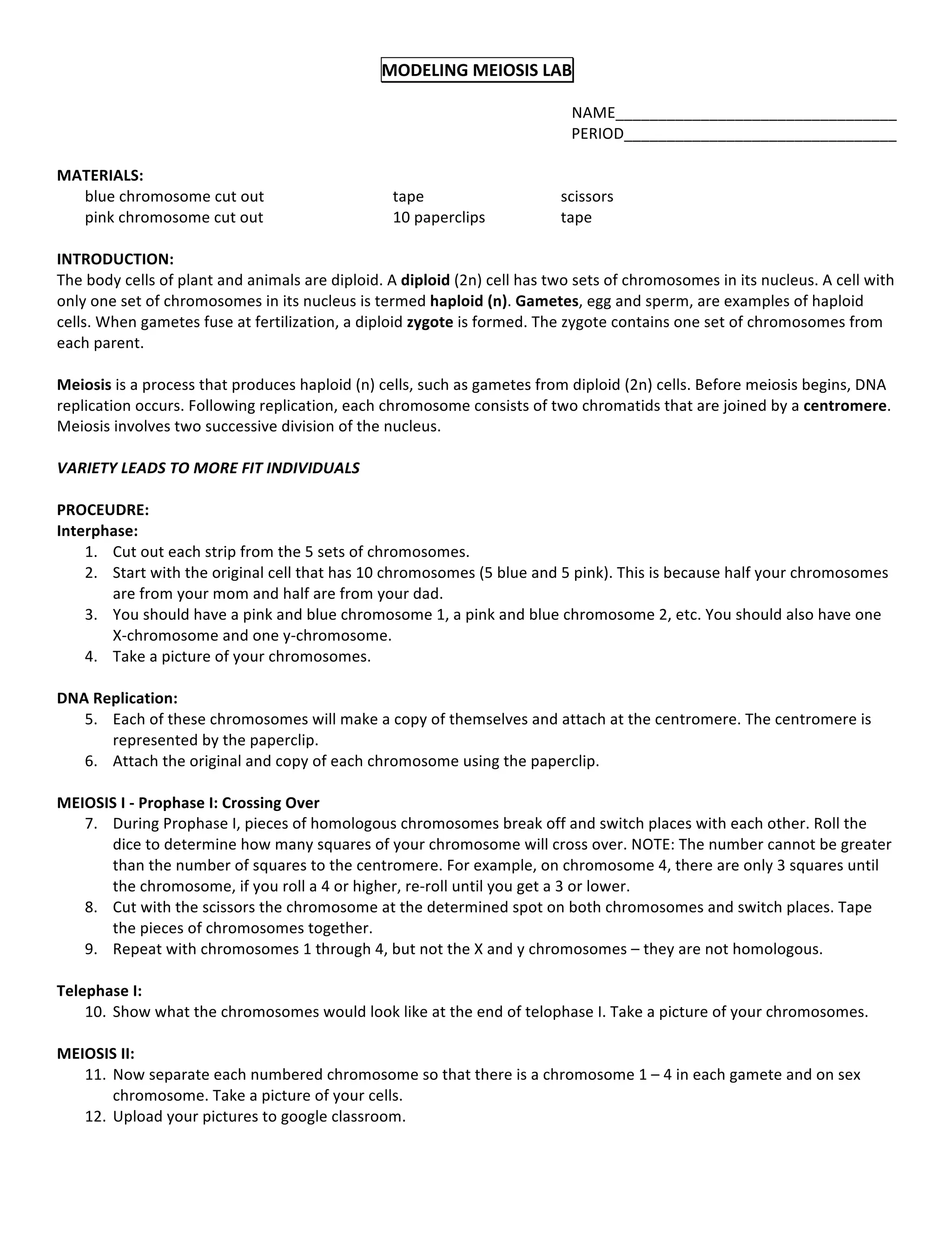Lesson 7.1 - Modeling Meiosis Lab (1).pdf