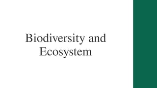 LESSON 7LESSON 7LESSON 7LESSON 7LESSON 7.pptx