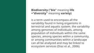 LESSON 7LESSON 7LESSON 7LESSON 7LESSON 7.pptx