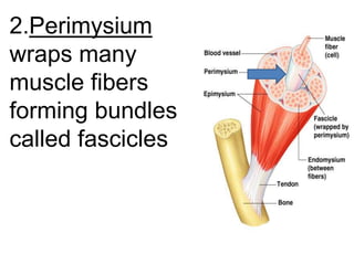 Biology Lesson7.6 | PPT
