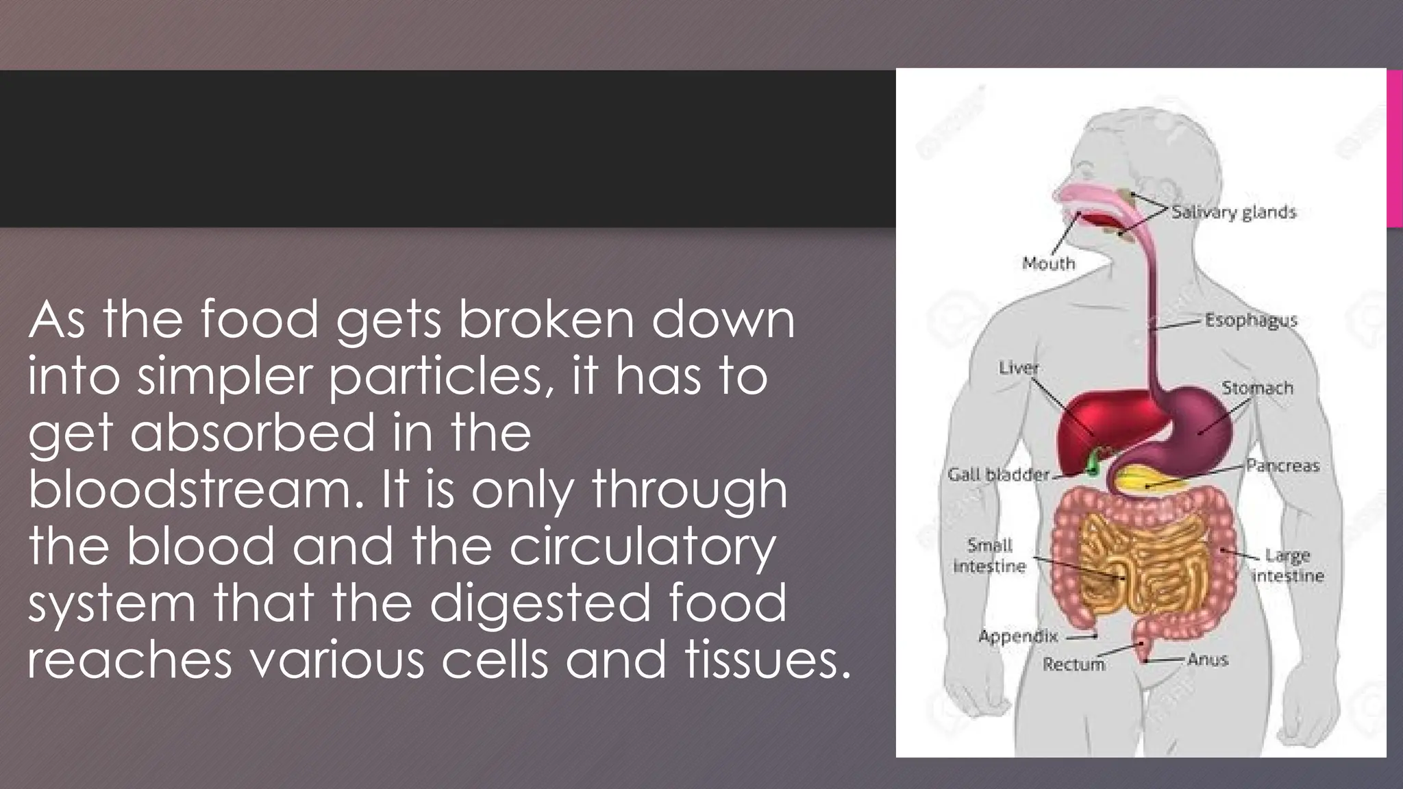 Lesson 7 - Changes in Food as it Undergoes Physical and [Autosaved].pptx