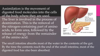 Lesson 7 - Changes in Food as it Undergoes Physical and [Autosaved].pptx