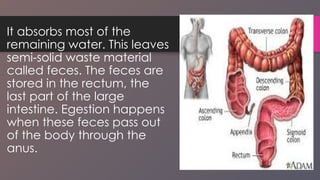 Lesson 7 - Changes in Food as it Undergoes Physical and [Autosaved].pptx