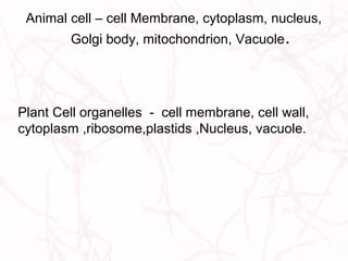 Cell structure and micro-organisms | PPT