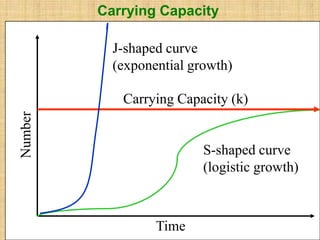 Exponential Growth Carrying Capacity