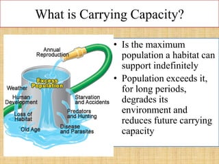Carrying Capacity Ecology