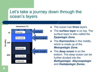 Ocean Layers | PPT