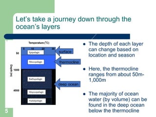 Ocean Layers | PPT