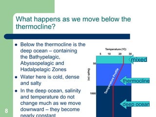 Ocean Layers | PPT