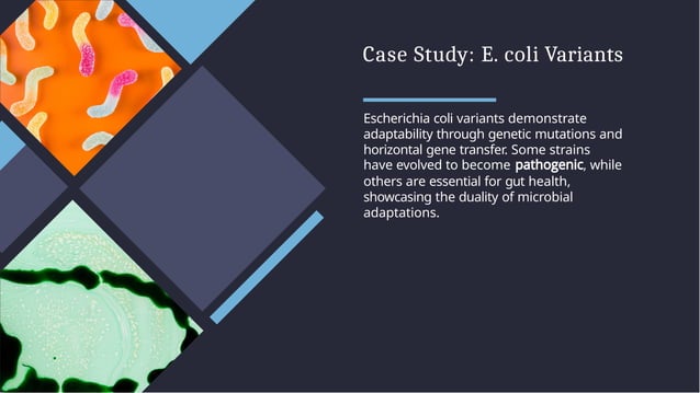 Lesson 7 Analyzing Specific Microbial Adaptations.pptx