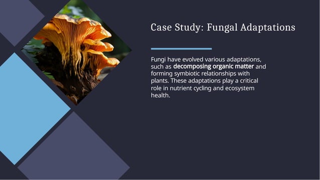 Lesson 7 Analyzing Specific Microbial Adaptations.pptx
