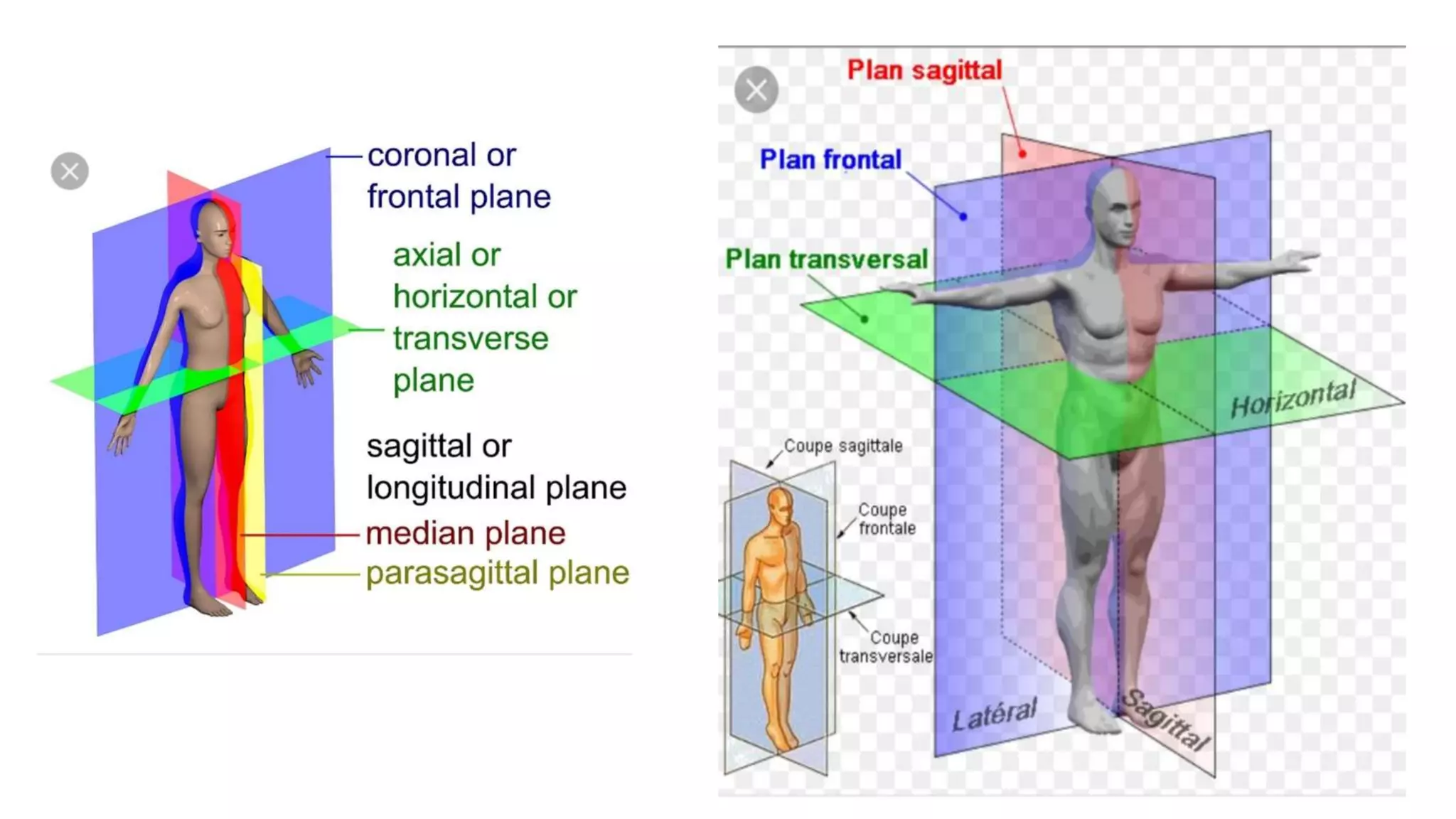 Lesson 7 (Anatomical Locations and FundamentalMovements).pptx