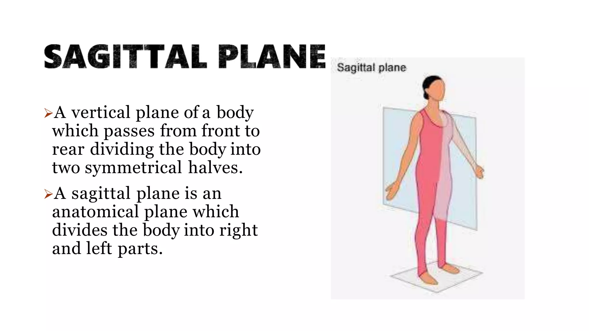 Lesson 7 (Anatomical Locations and FundamentalMovements).pptx