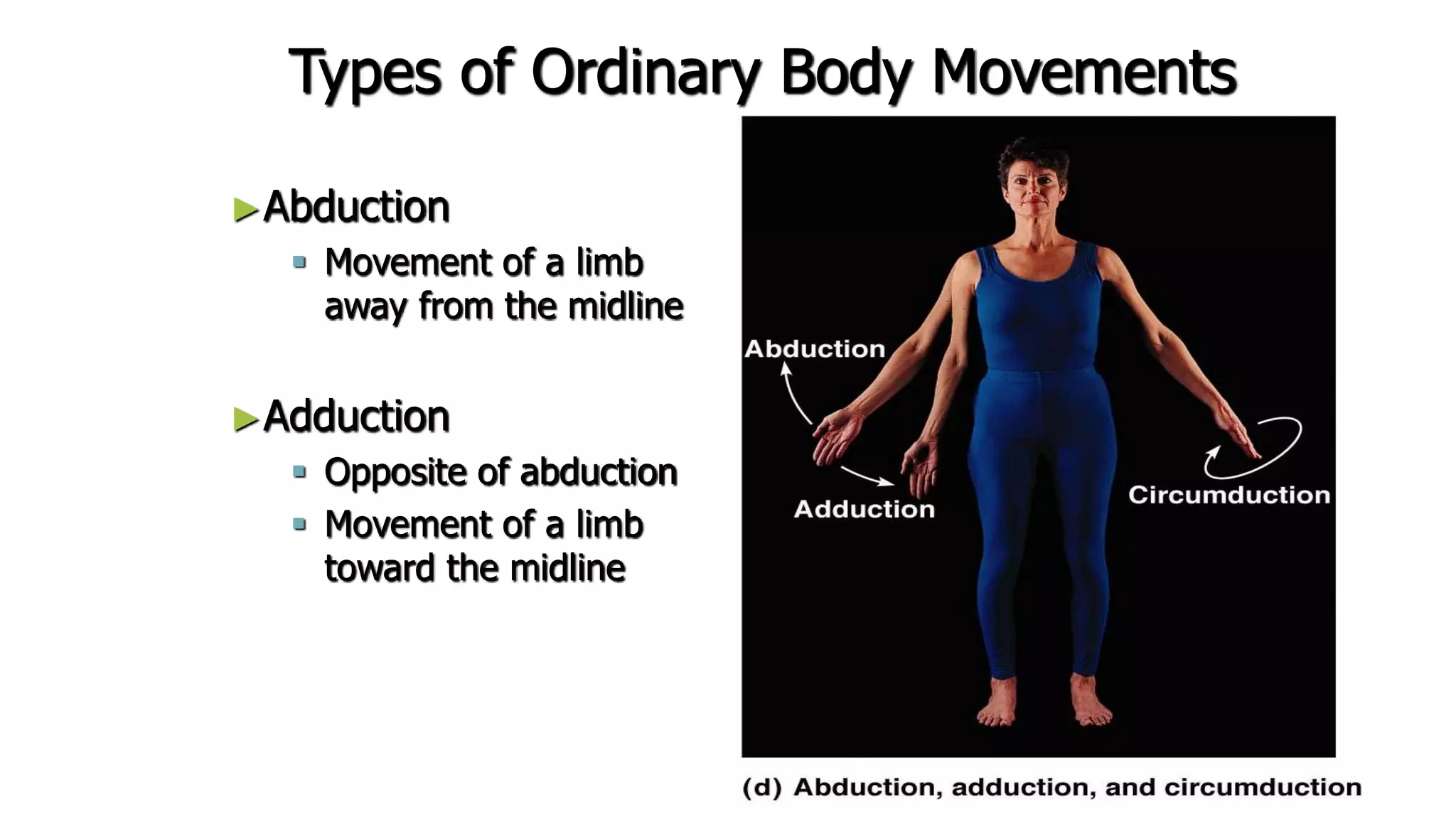 Lesson 7 (Anatomical Locations and FundamentalMovements).pptx