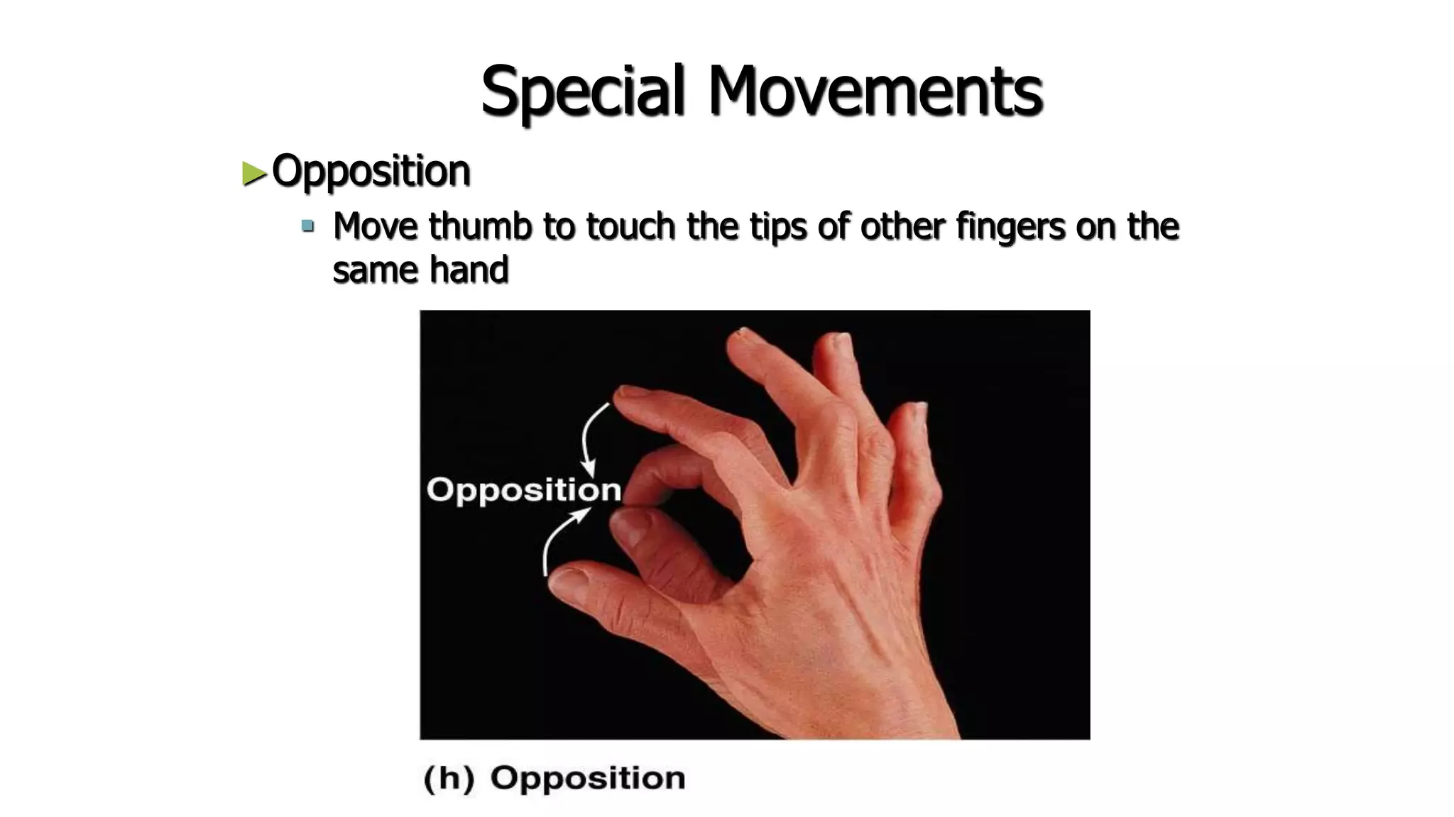 Lesson 7 (Anatomical Locations and FundamentalMovements).pptx