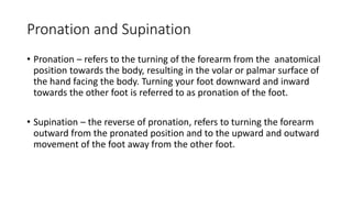 Lesson 7 (Anatomical Locations and FundamentalMovements).pptx
