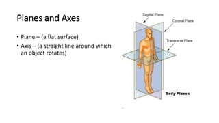 Lesson 7 (Anatomical Locations and FundamentalMovements).pptx