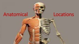 Lesson 7 (Anatomical Locations and FundamentalMovements).pptx