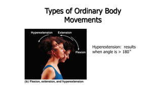 Lesson 7 (Anatomical Locations and FundamentalMovements).pptx