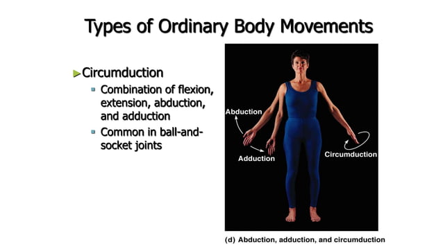 Lesson 7 (Anatomical Locations and FundamentalMovements).pptx