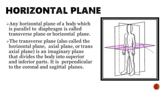 Lesson 7 (Anatomical Locations and FundamentalMovements).pptx