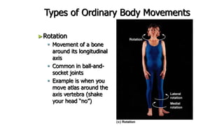 Lesson 7 (Anatomical Locations and FundamentalMovements).pptx
