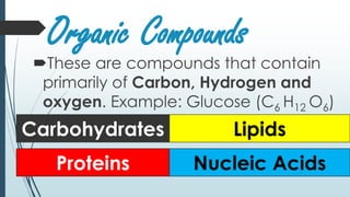 Lesson 7 biomolecules | PPT
