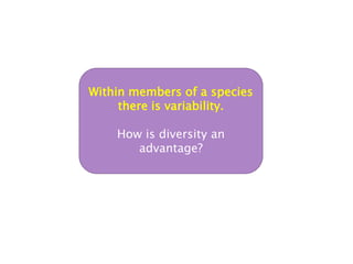 Lesson 7 heredity | PPT