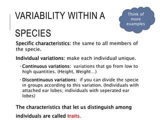 Lesson 7 heredity | PPT