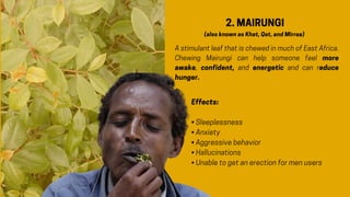 LESSON 7 Risky Behavior Of Adolescence.pdf
