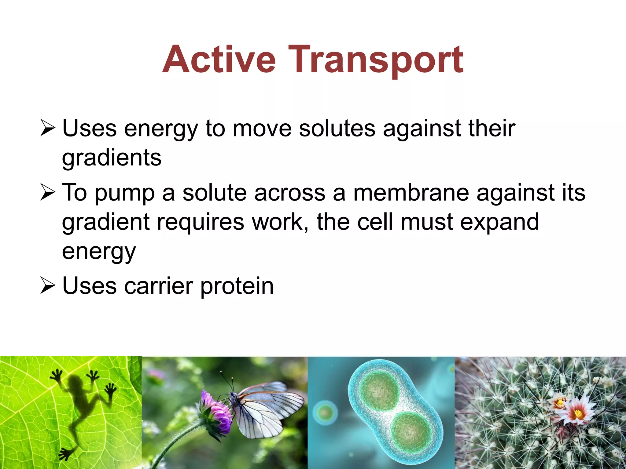 Lesson 7 Transport Mechanisms | PDF