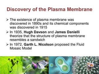 Lesson 7 Transport Mechanisms | PDF