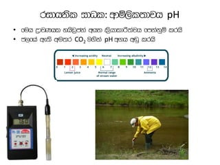 Lesson 7 water quality analysis | PPT