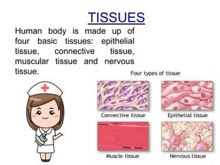 Lesson 8Lesson 8Lesson 8Lesson 8Lesson 8.pptx