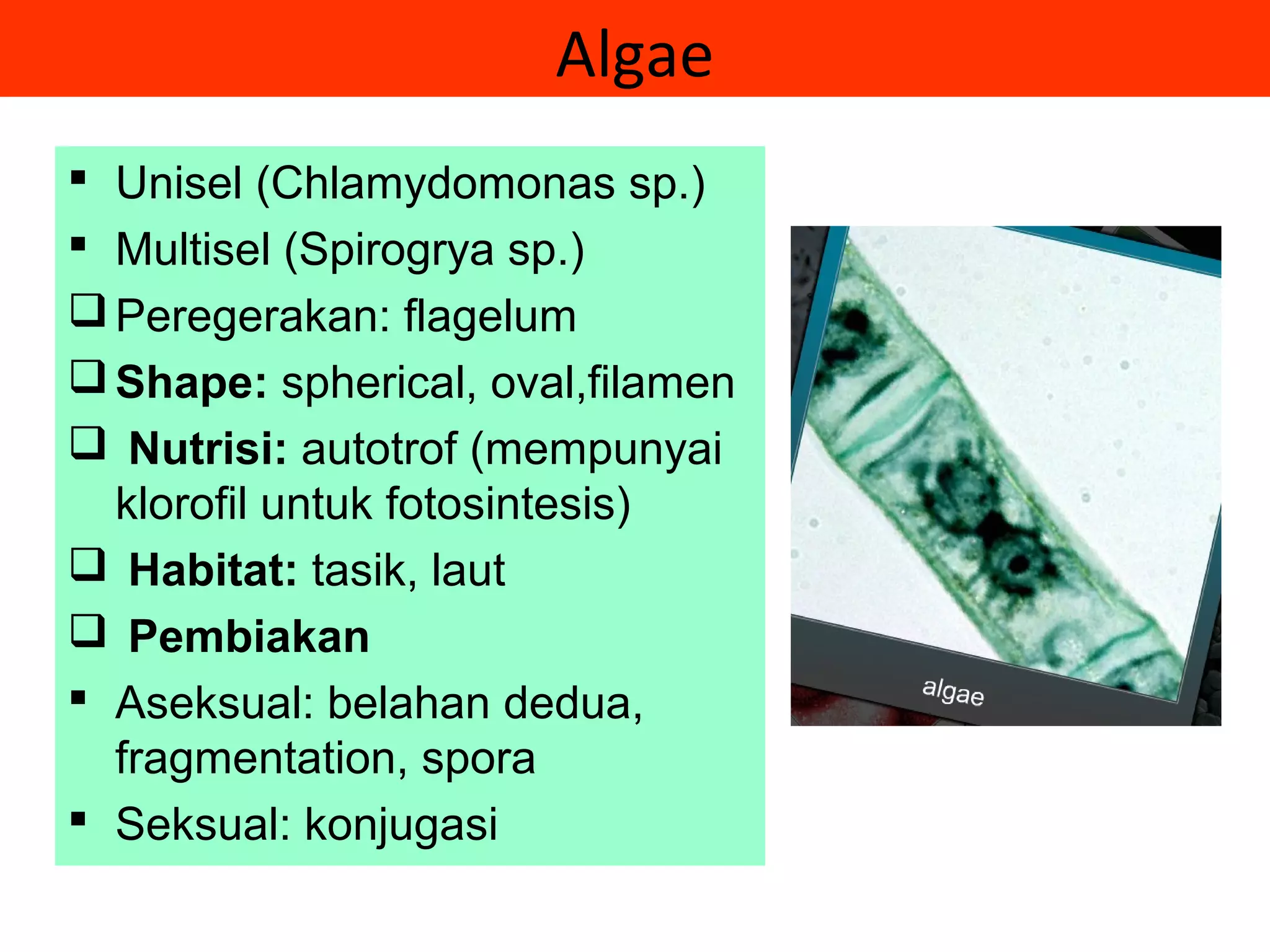 Lesson 8.5 part 1 | PPT