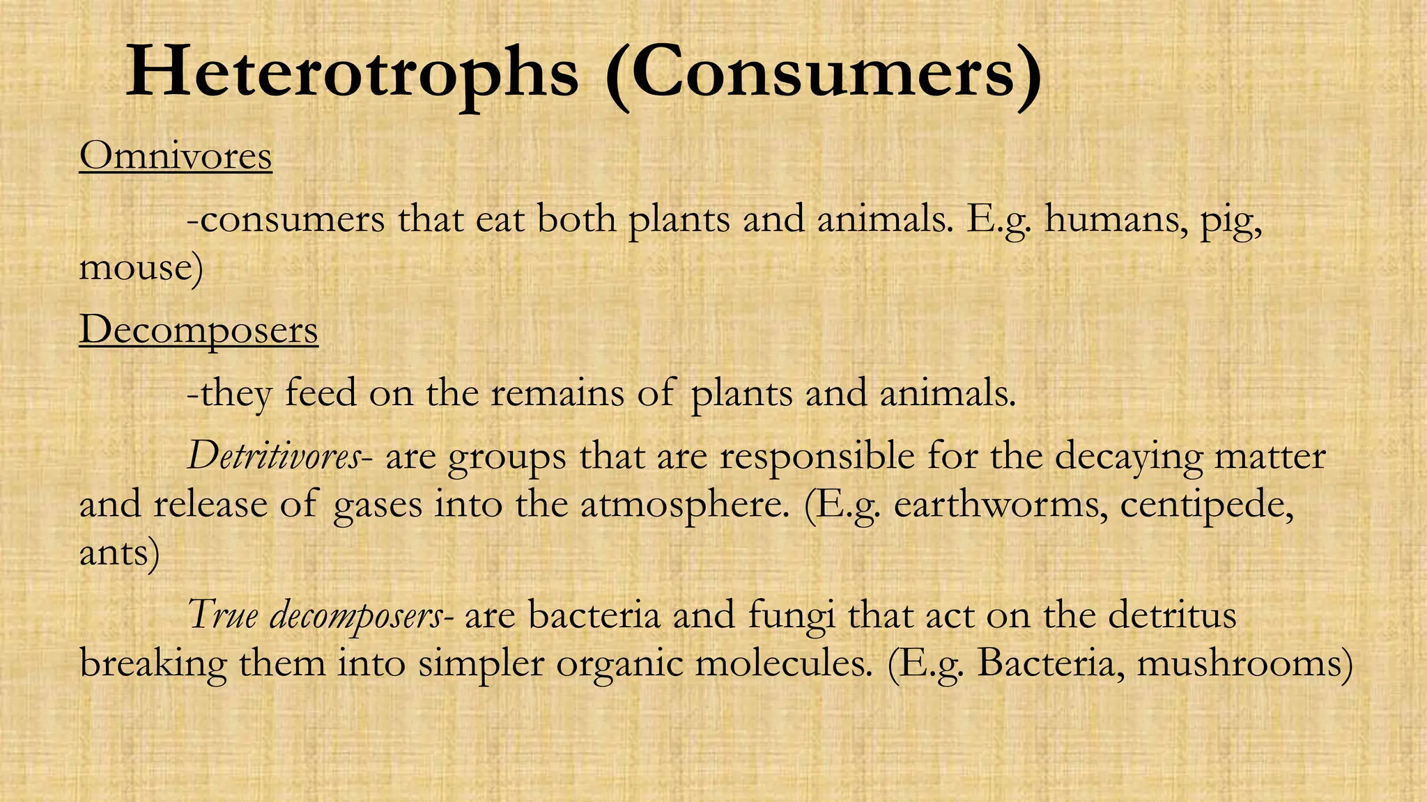LESSON 8- Ecological Interaction (grade 7).pptx