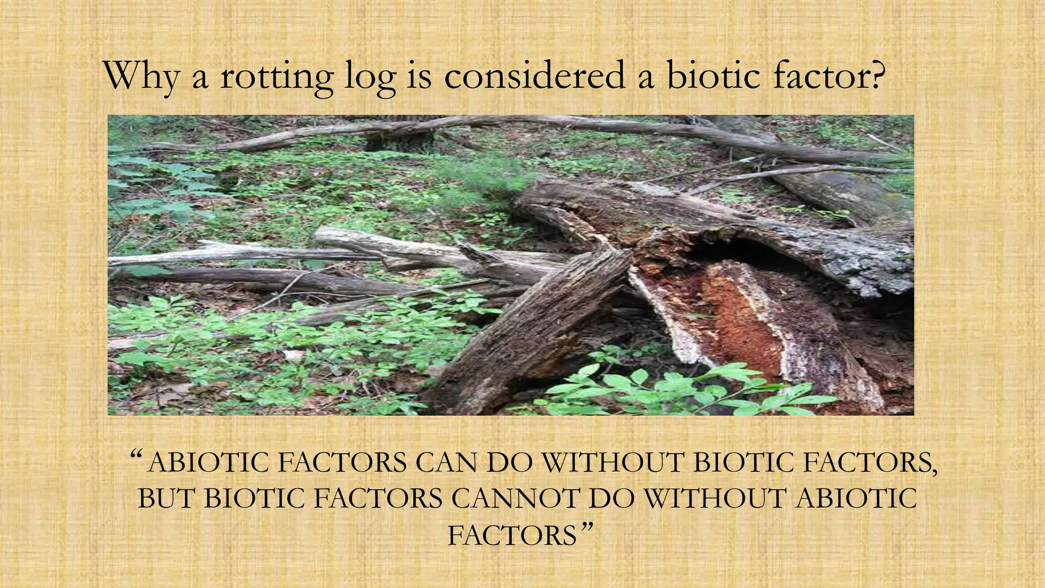 LESSON 8- Ecological Interaction (grade 7).pptx