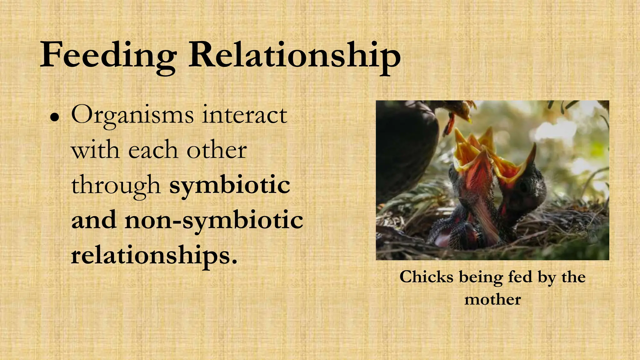 LESSON 8- Ecological Interaction (grade 7).pptx