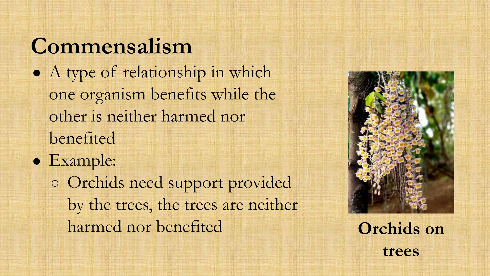LESSON 8- Ecological Interaction (grade 7).pptx