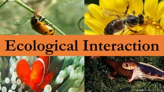 LESSON 8- Ecological Interaction (grade 7).pptx