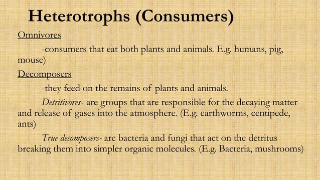 LESSON 8- Ecological Interaction (grade 7).pptx