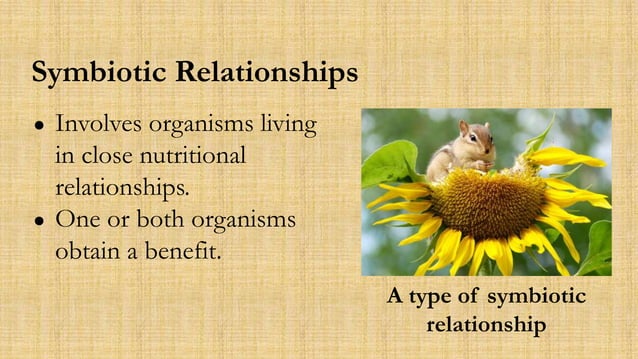 LESSON 8- Ecological Interaction (grade 7).pptx
