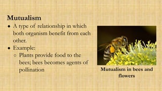LESSON 8- Ecological Interaction (grade 7).pptx