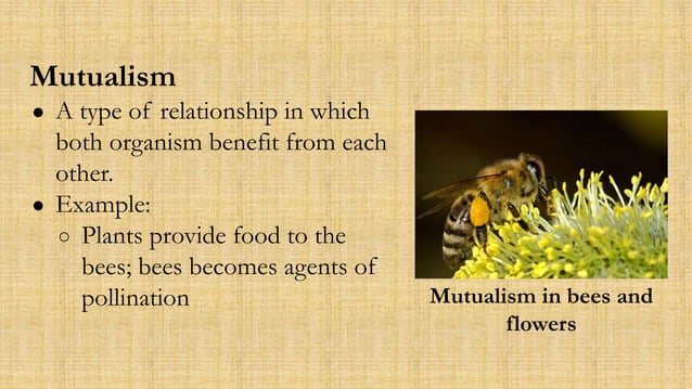LESSON 8- Ecological Interaction (grade 7).pptx
