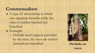LESSON 8- Ecological Interaction (grade 7).pptx