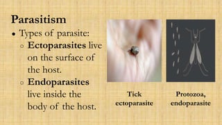 LESSON 8- Ecological Interaction (grade 7).pptx