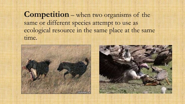 LESSON 8- Ecological Interaction (grade 7).pptx