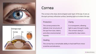 Lesson 8-Eye and EarsLesson 8-Eye and EarsLesson 8-Eye and EarsLesson 8 ...