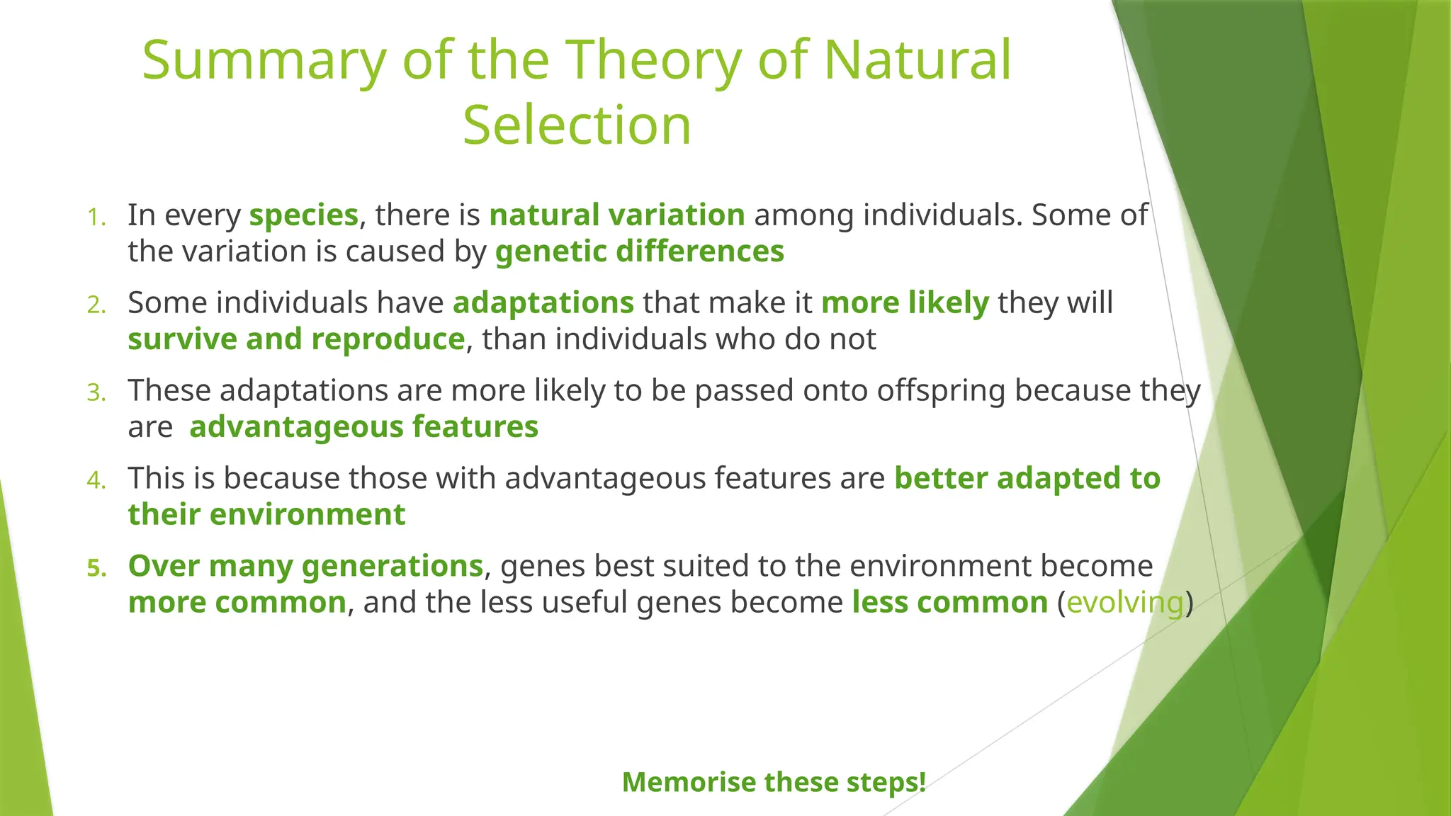 Lesson 8 - Natural Selection 3 in detail.pptx